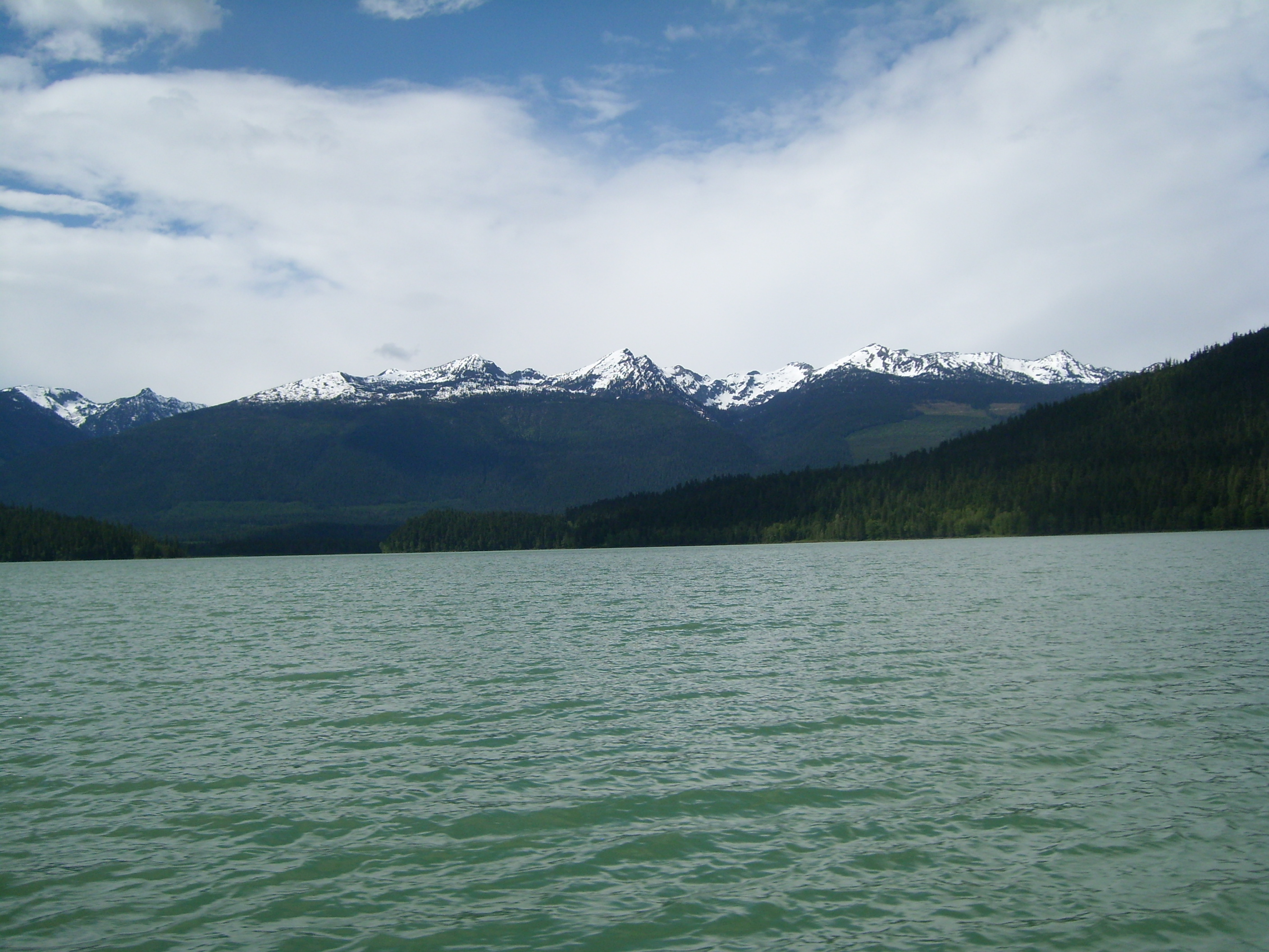 Black Bears in Blue River – Diary of a Tourist