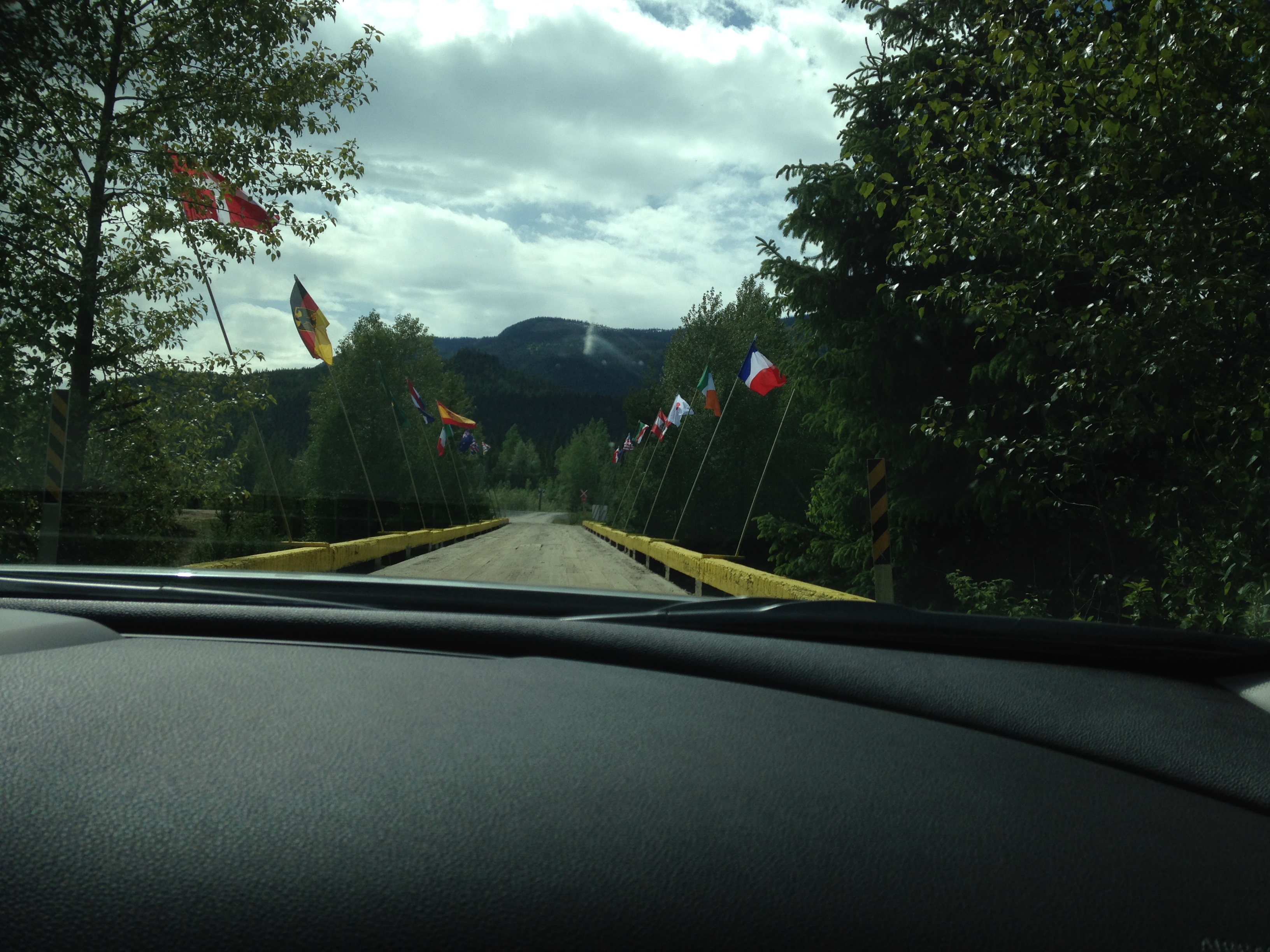 Black Bears in Blue River – Diary of a Tourist