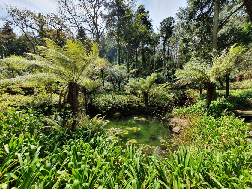 A Day in Sintra – Diary of a Tourist